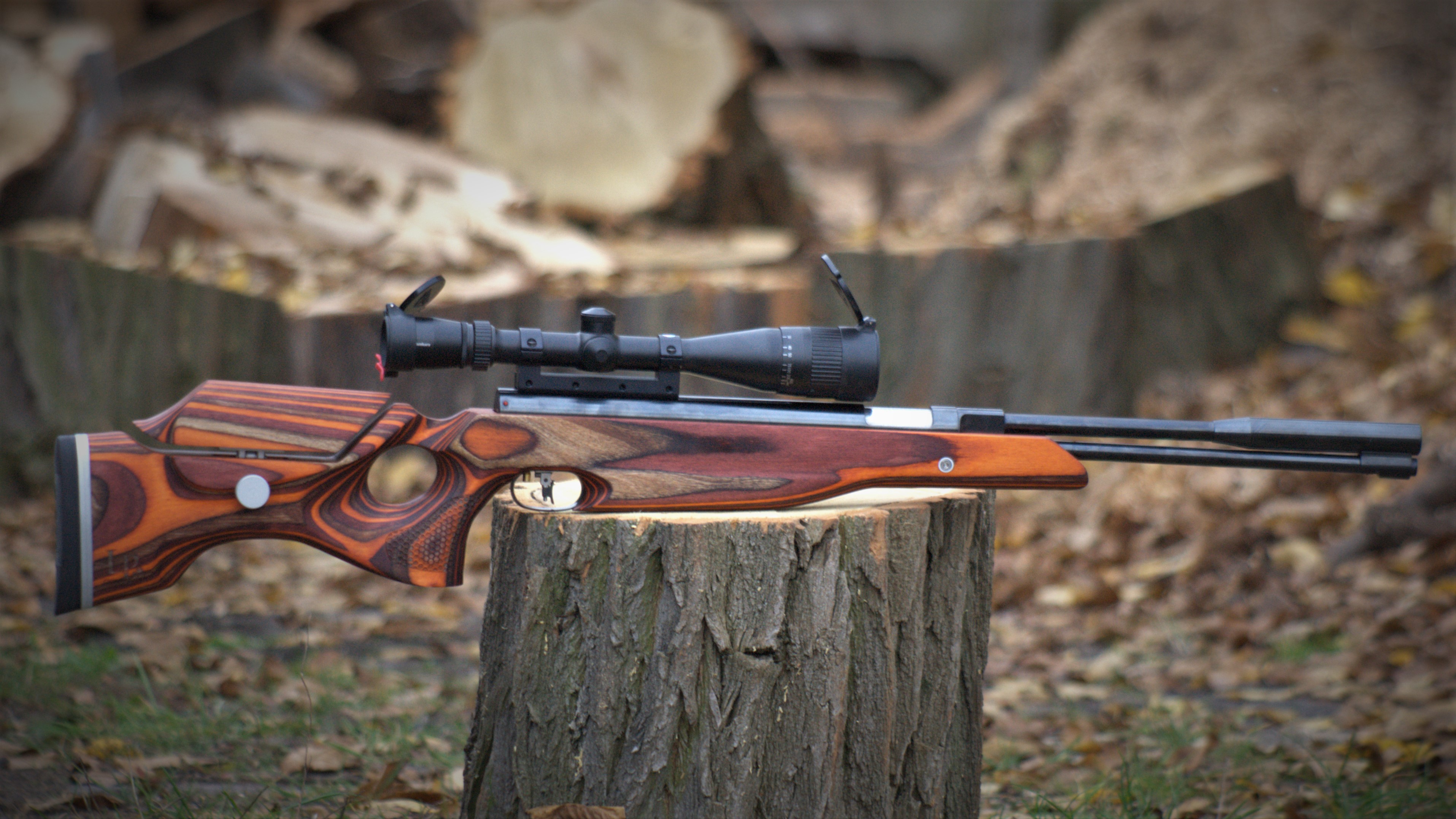 Custom stock Evolution HW97